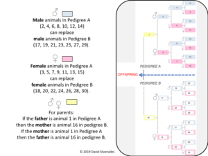Dog Genetics 4.1: Inbreeding Calculator, Detailed Instructions and ...