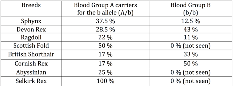 Cat Genetic Profile – Feline Blood Groups | Laboratoire de génétique ...