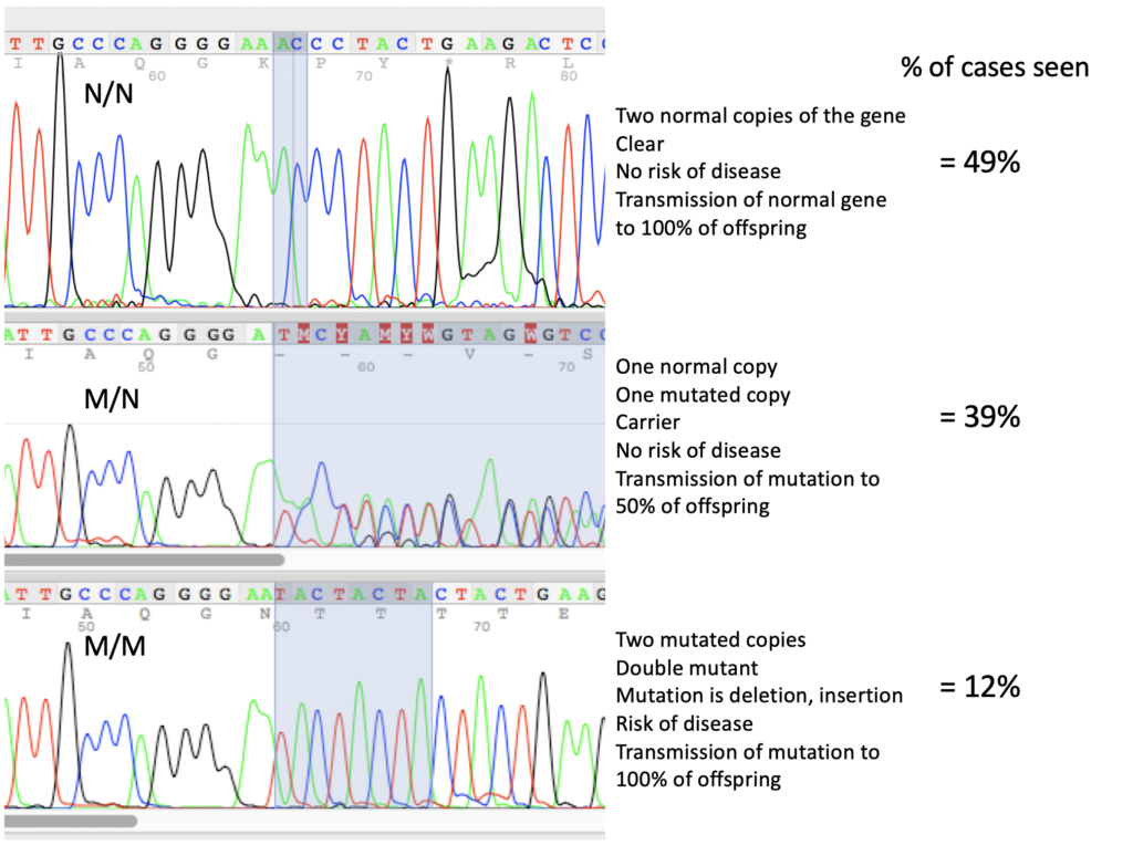 Ichthyosis (Golden Retriever type) | Laboratoire de génétique vétérinaire